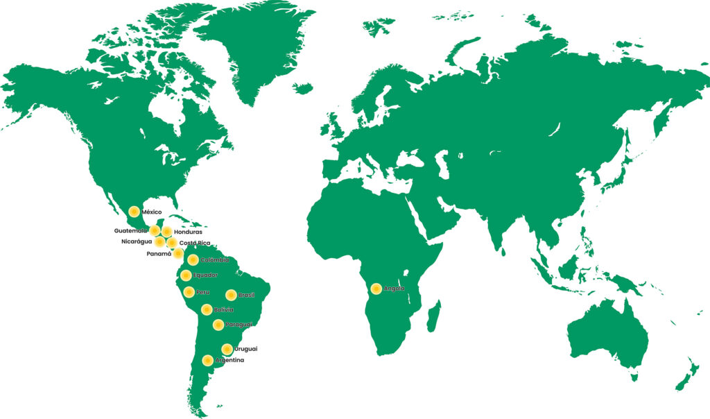 General Chains – Tecnologia em Evolução